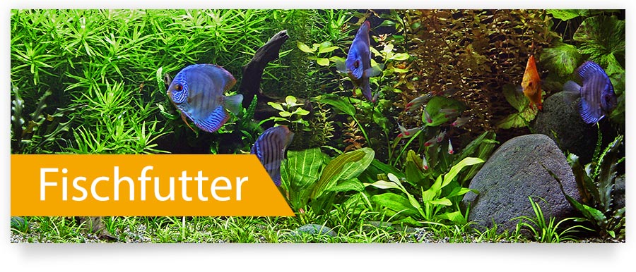 Fischfutter • AQUALITY-Shop.de - Shop für Aquaristik und Gartenteich ...