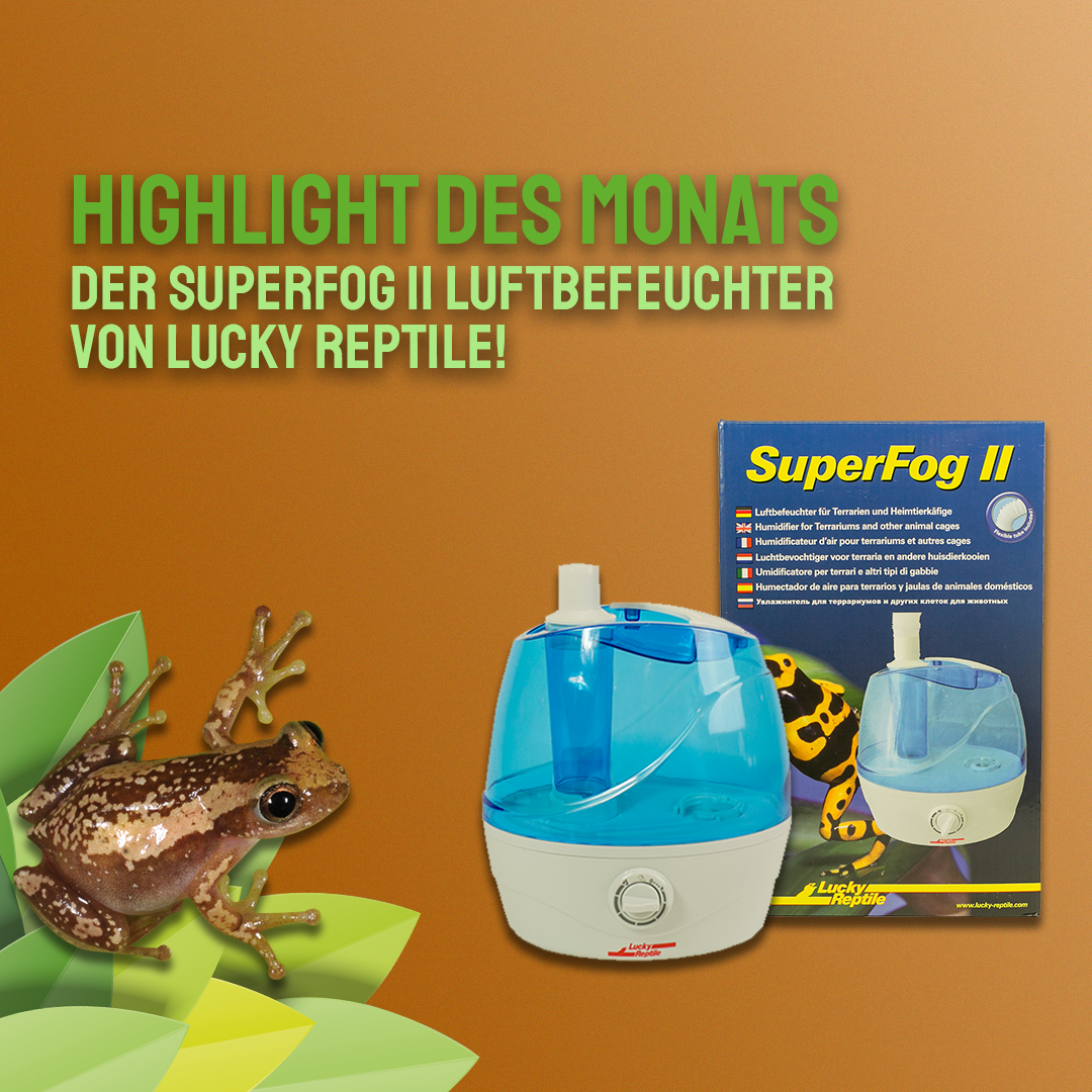 Reptilienkosmos.de powered by Terra King