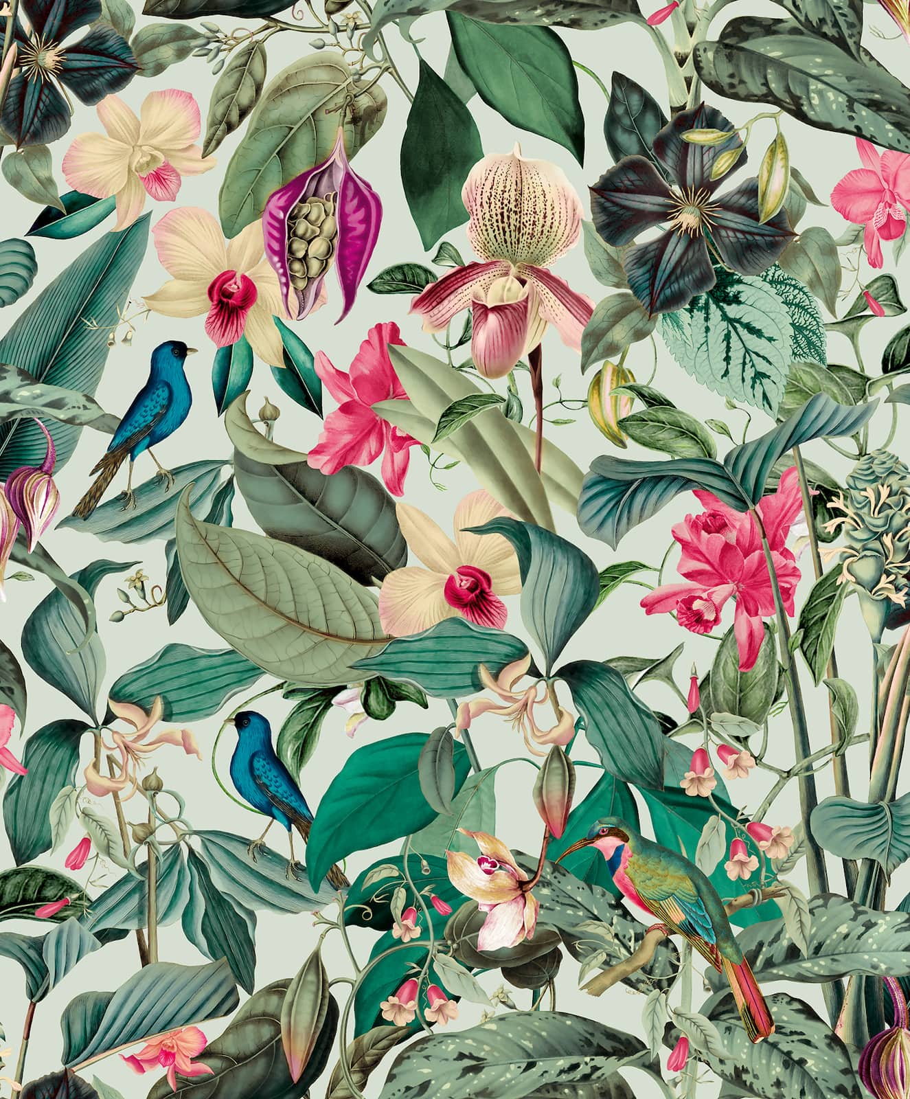 Wallpaper sample article 81684