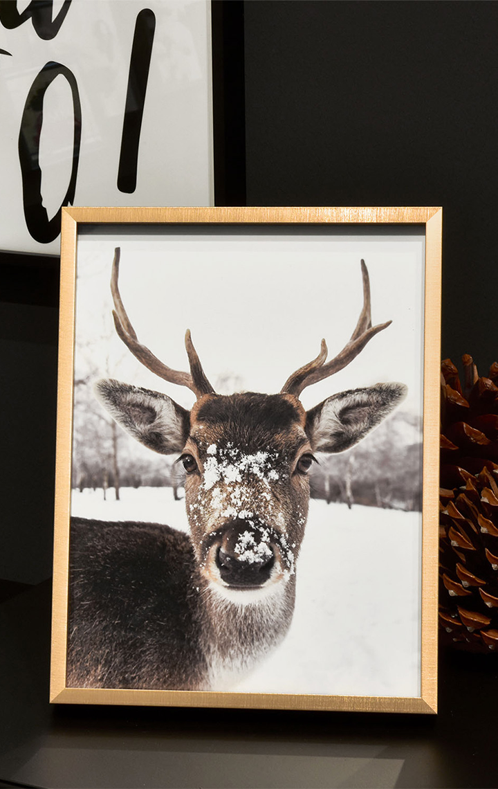 nielsen - Design mit Charakter.