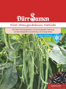 Bohnensamen (Gemüsesamen) | Samenhaus Samen & Sämereien