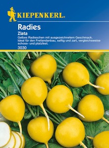 Radieschensamen (Gemüsesamen) | Samenhaus Samen & Sämereien