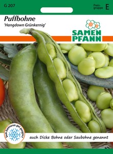 Bohnensamen (Gemüsesamen) | Samenhaus Samen & Sämereien
