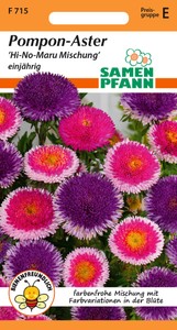 Aster Hulk | Asternsamen von Benary Samen | Samenhaus Samen & Sämereien