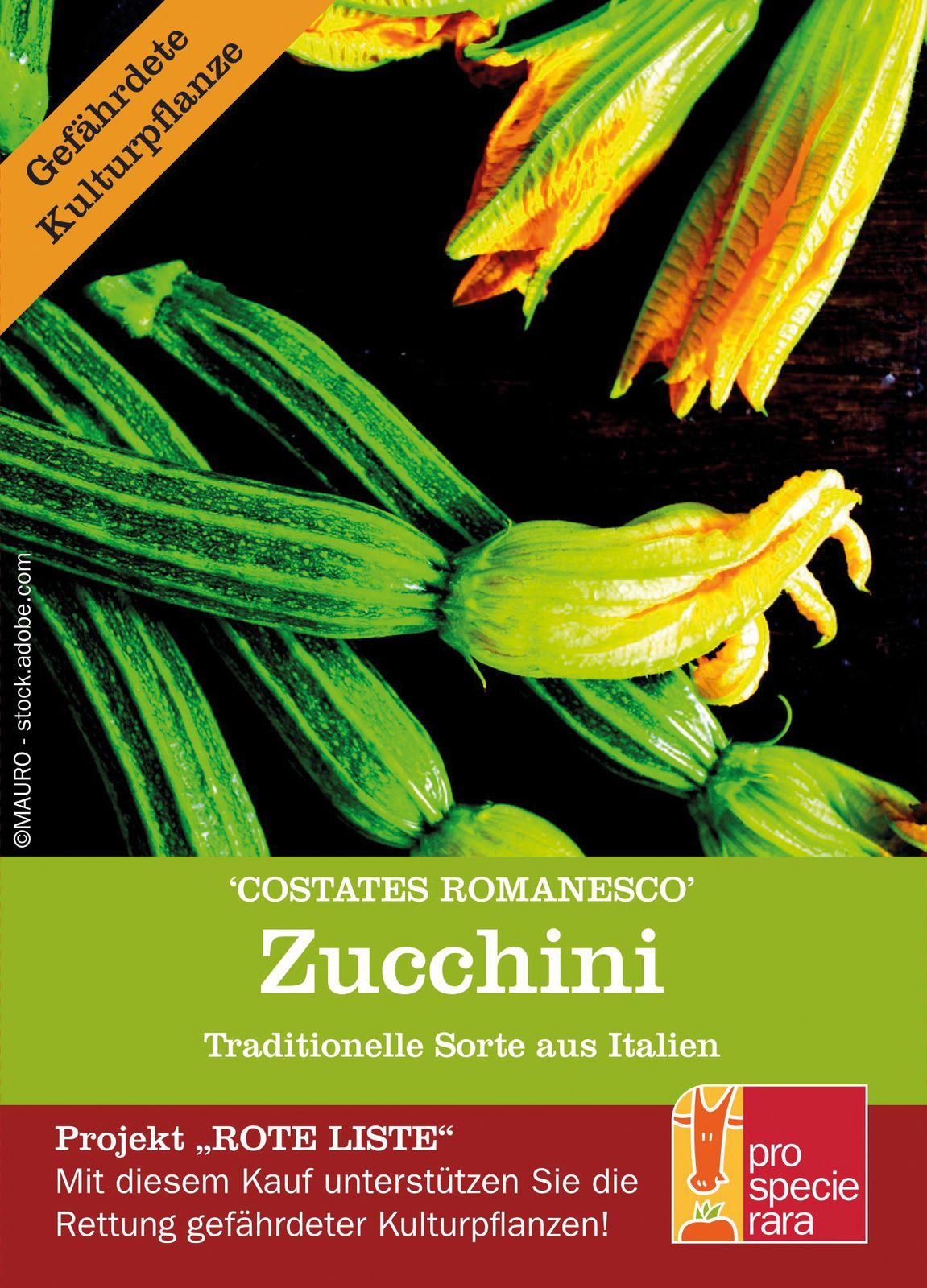 Zucchini Costates Romanesco | BIO Zucchinisamen von ProSpecieRara ...