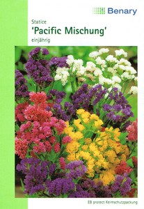 Statice Pacific Mischung | Staticesamen von Benary Samen | Samenhaus ...