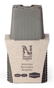 Wasabi-Rauke | Raukesamen von Dürr Samen [MHD 12/2023] | Samenhaus ...