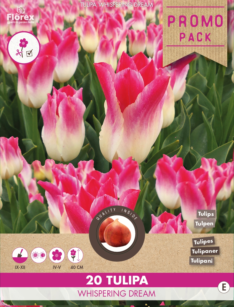 Tulpe Whispering Dream (20 Stück) | Tulpenzwiebeln von Florex