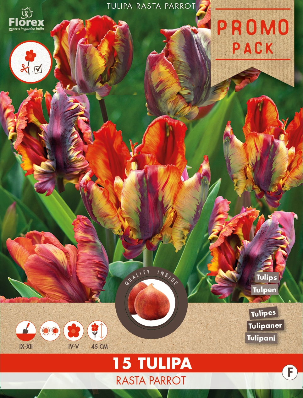 Tulpe Rasta Parrot (15 Stück) | Tulpenzwiebeln von Florex