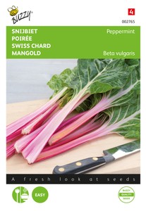 Anzuchthaus L PLUS | Mini-Gewächshaus von Romberg | Samenhaus Samen ...