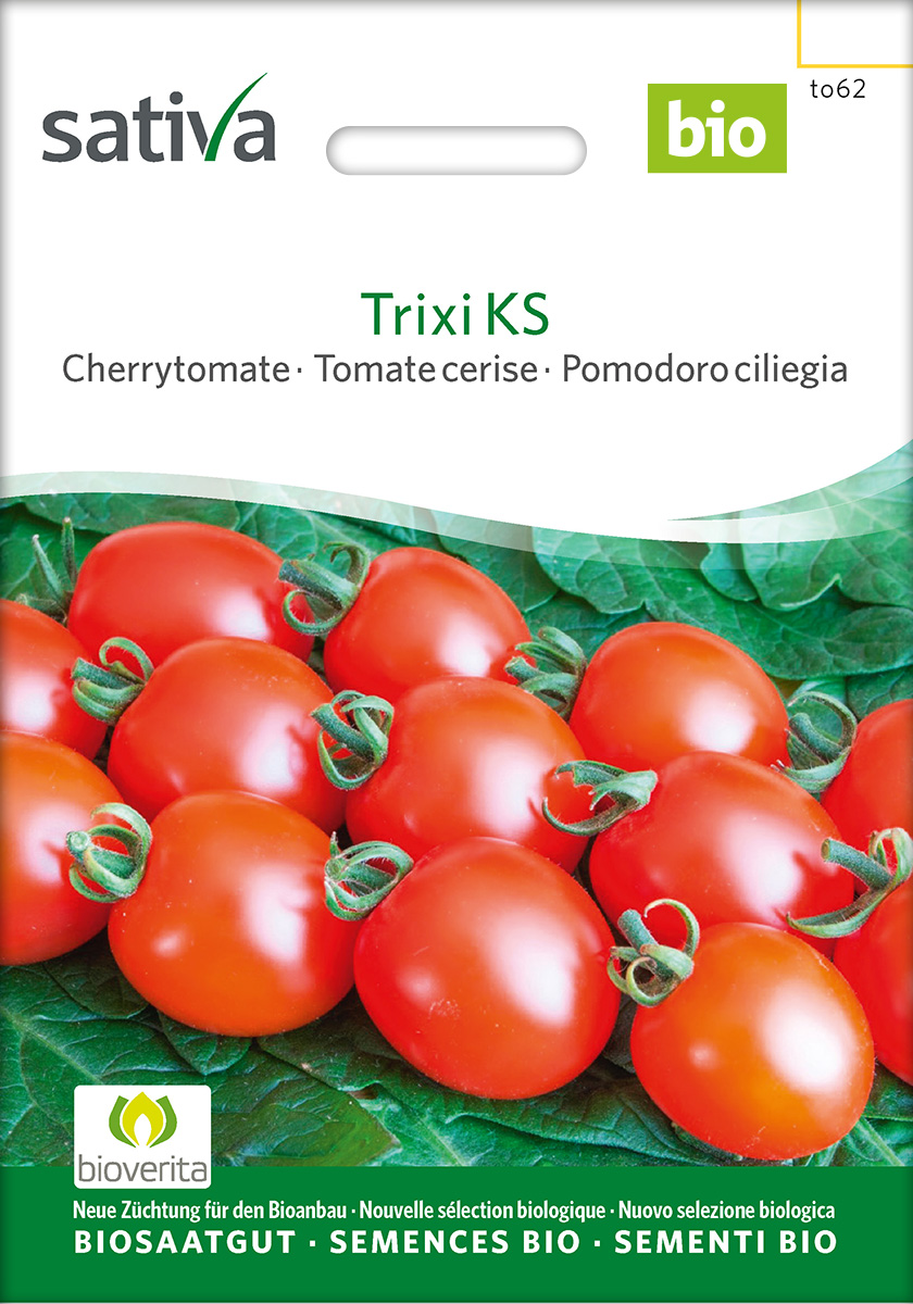 Cherrytomate Trixi KS | BIO Kirschtomatensamen von Sativa Rheinau