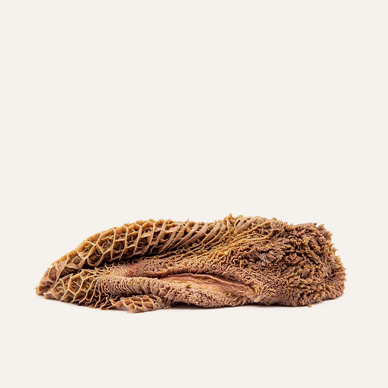 Lamm-Pansen | Hundgesund - Ramon Brinkhaus