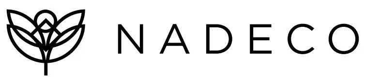 Hochwertige Tannenzapfen von NaDeco | NaDeco