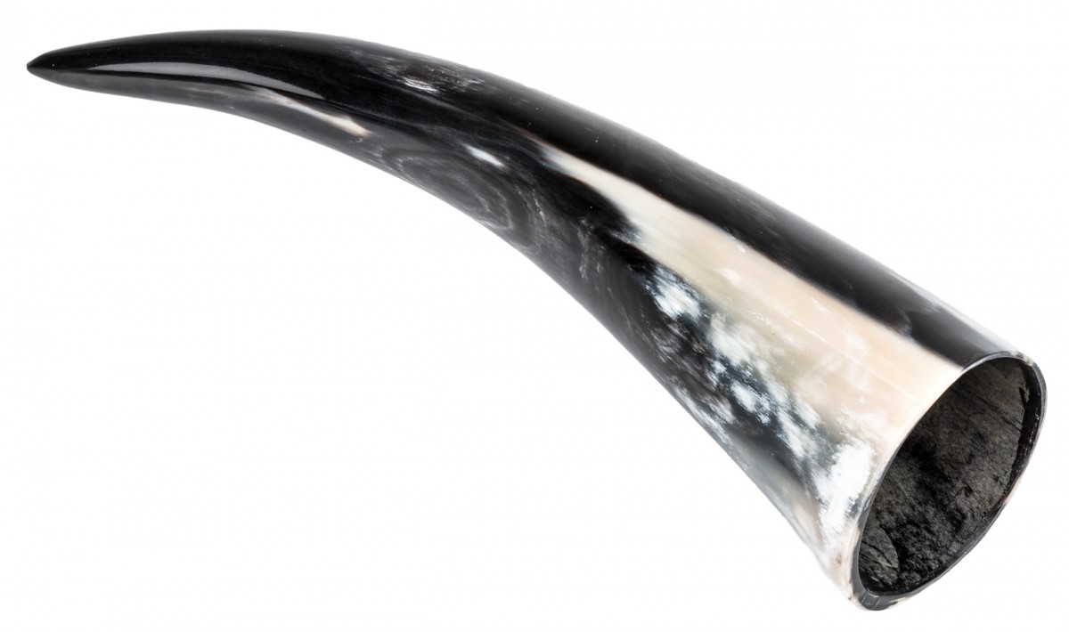 Trinkhorn 0,1 Liter | NaDeco