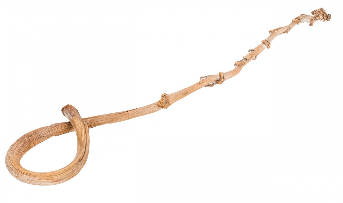 Hirtenstab natur ca. 40cm | NaDeco