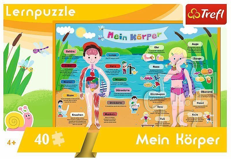 Lernpuzzle - Mein Körper 40 Teile - Deutsche Version | HL-Großhandel ...