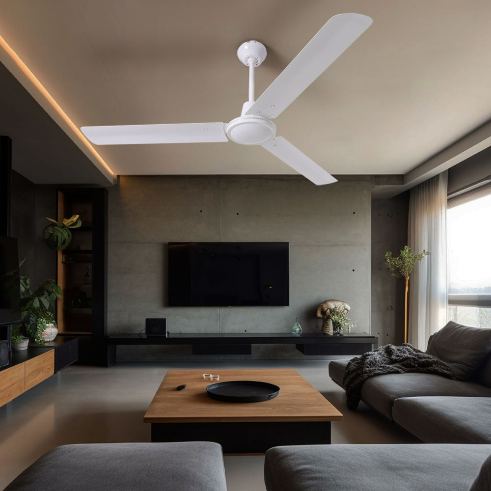 Ceiling fan wind machine with wall switch | ETC Shop: lamps, furniture ...