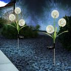 Außenleuchte Gartendeko LED Solarlampe Pusteblume Erdspieß ...