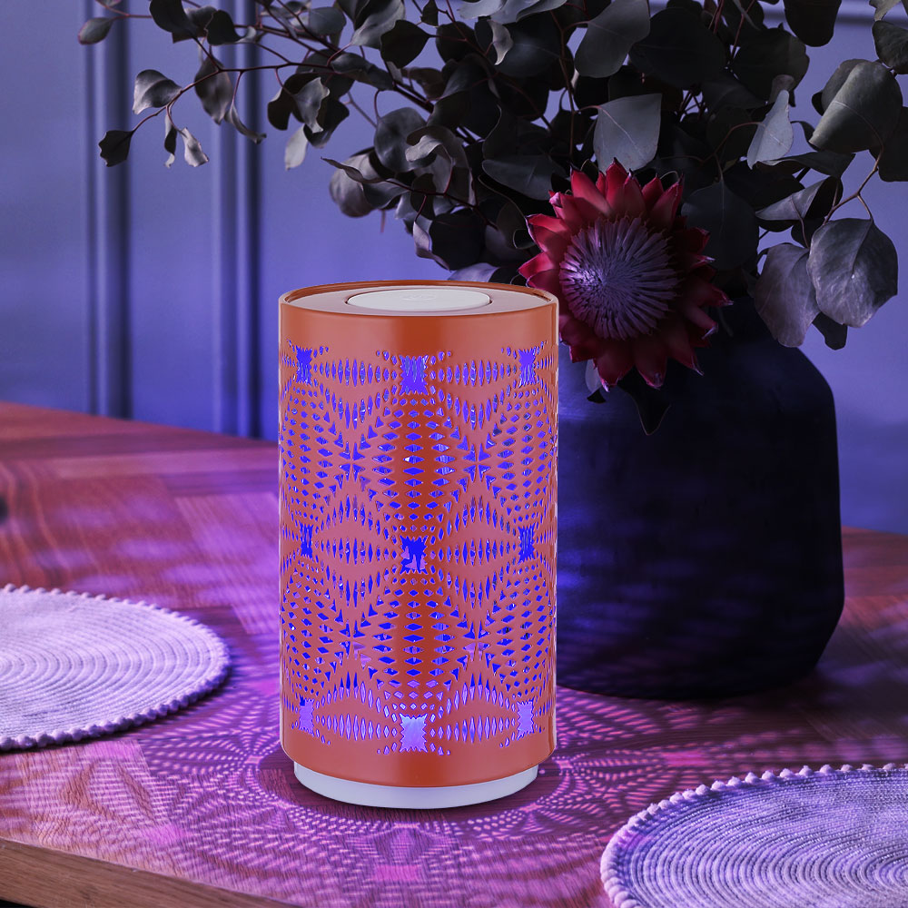 RGB LED table lamp, battery, touch, gold, H 14 cm | ETC Shop: lamps ...