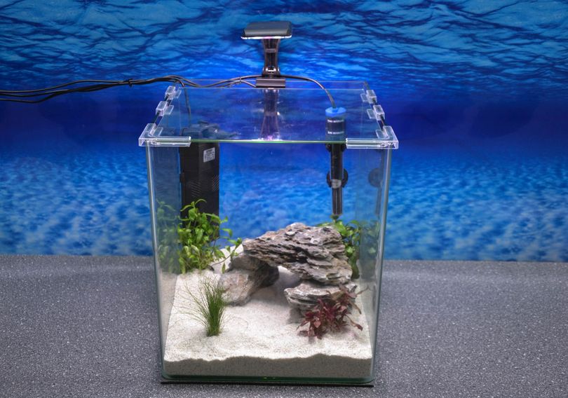 Nano Aquarien