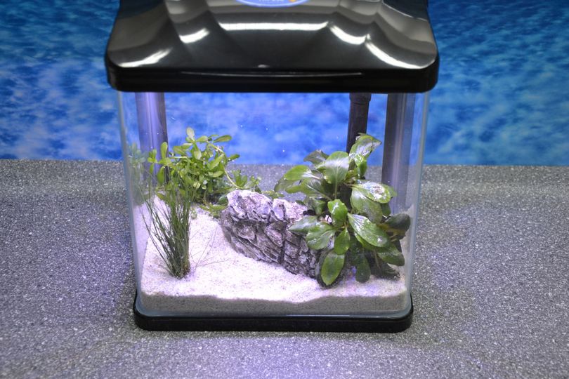 Nano Aquarien