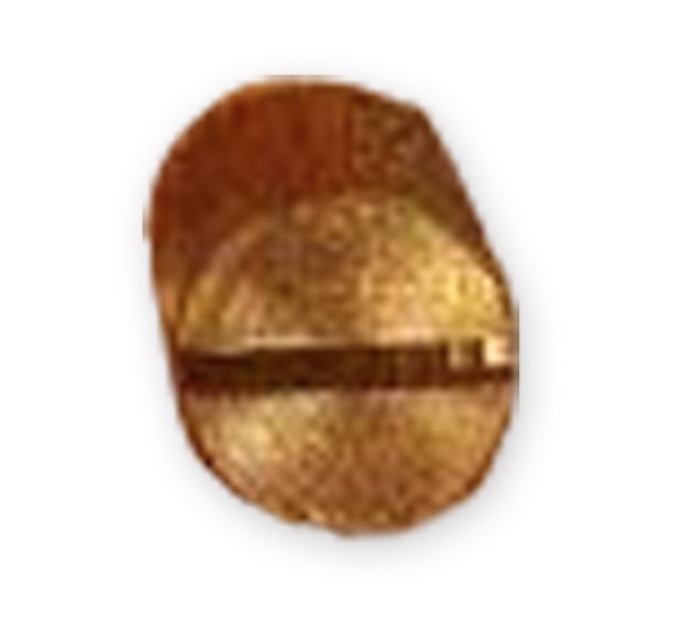 Fanatic WS Power Box Fin Screw Insert Nut