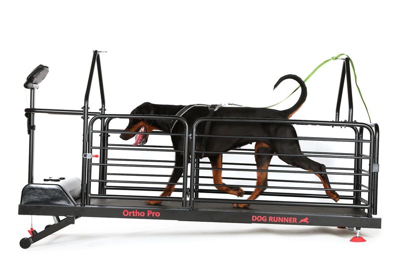 Dogrunner Ortho Pro | Gappay Hundesport