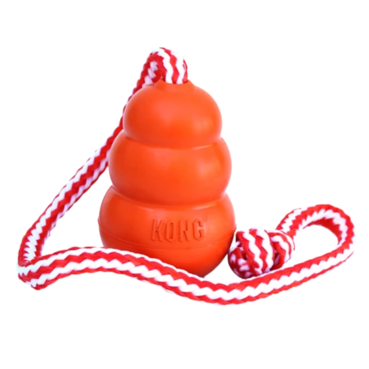 Kong Aqua | Gappay Hundesport