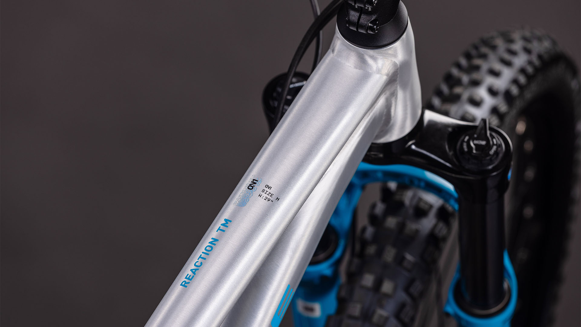 MTB Hardtail Cube Reaction TM ONE 29" rawmetal´n´blue 2026 | Sport- und ...