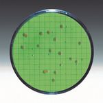 PLACAS CART.NUTRITCION ESTAND. 10 | PHYWE