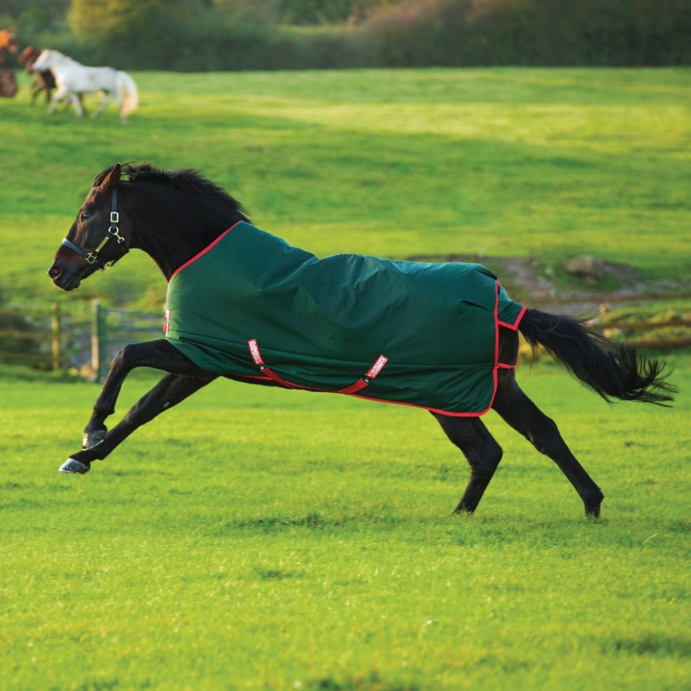 Horseware Rambo Original Turnout Lite 0g - Vert/Rouge | HorSeven GmbH