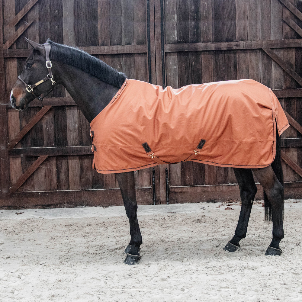 Kentucky Horsewear All Weather Turnout 160g - Orange | HorSeven GmbH