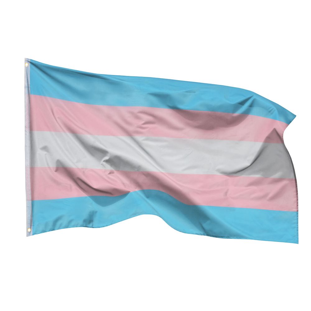 Order Transgender Pride Flag - Top prices and services! | Order ...