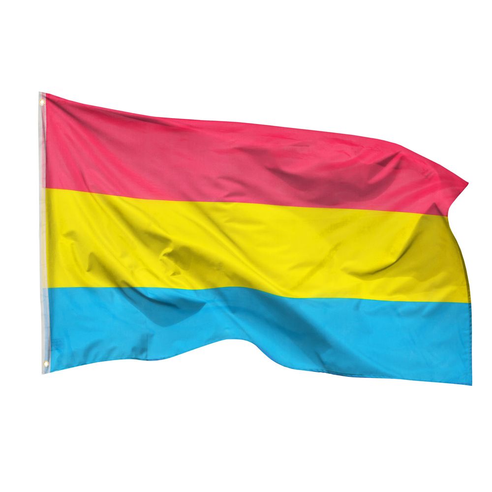 Compra en línea la bandera de Pan - Gender Fahnen en nuestra tienda ...