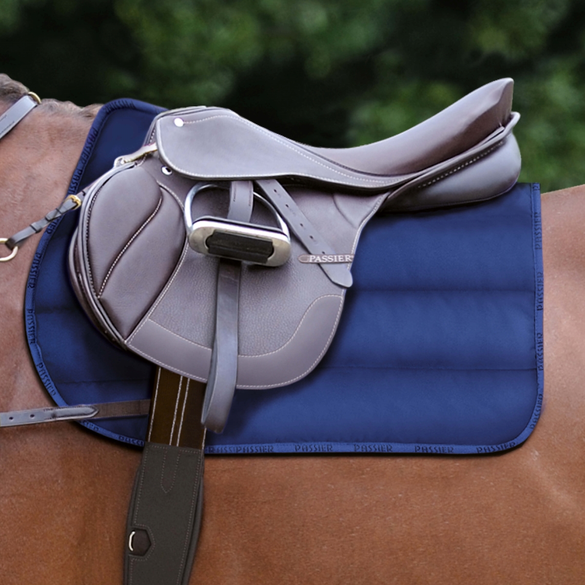 Passier Schabracken | Horse Shop