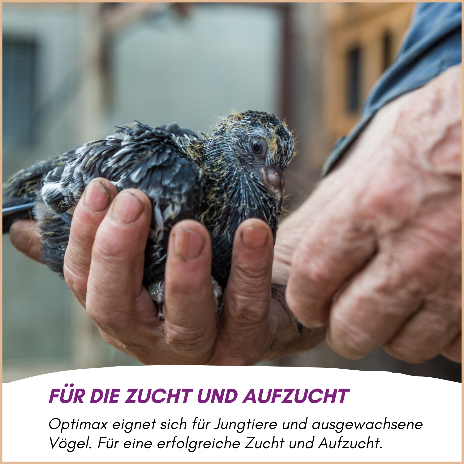 Optimax Aufzuchtfutter | Supravit