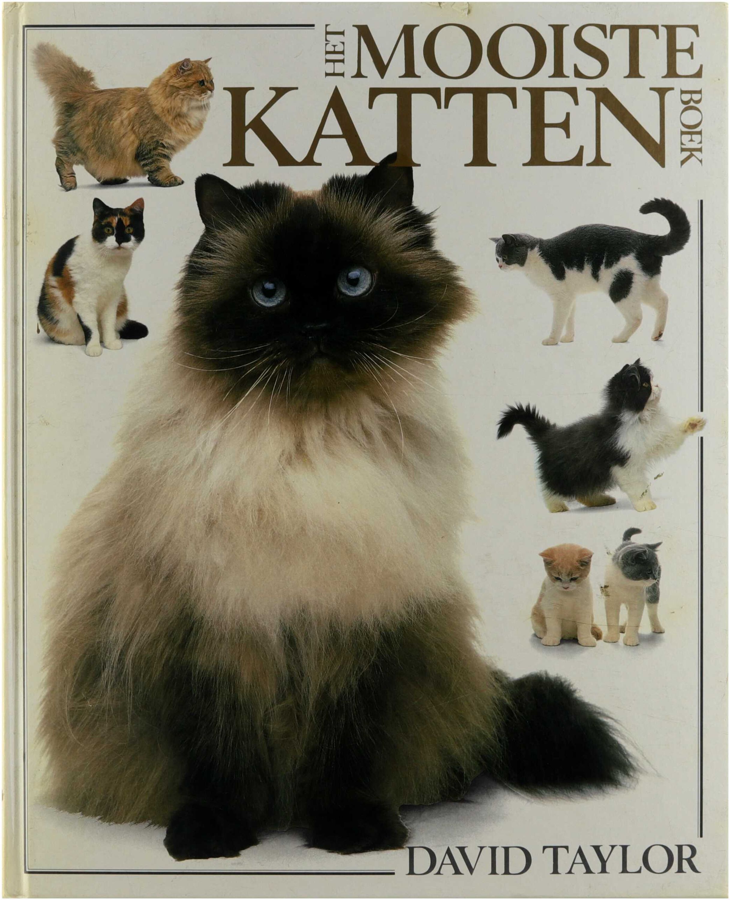 Het mooiste kattenboek [Hardcover] David Taylor [1990] | Untje.com