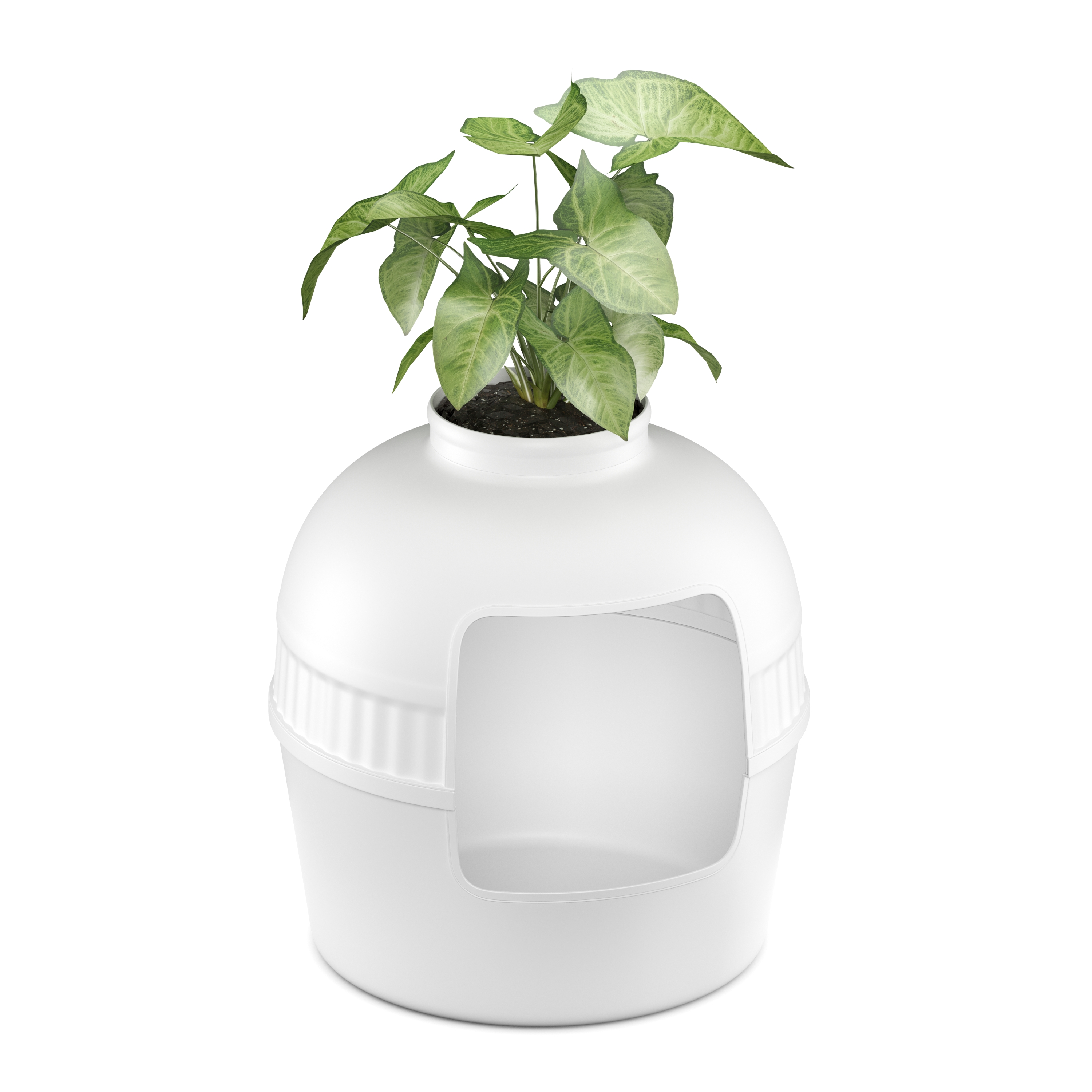 Cat litter tray flower pot 50 x 50 x 52 cm | Online Shop Gonser ...