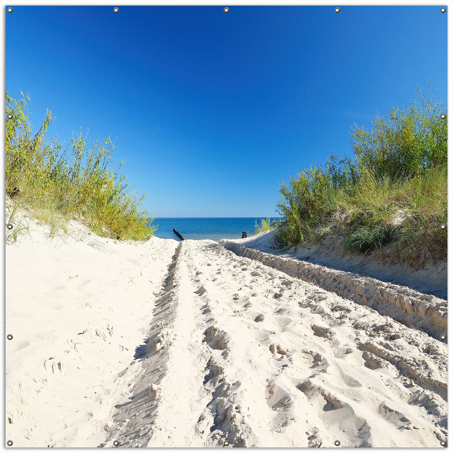 Gartenposter Auf dem Sandweg zum Strand - Blauer Himmel über dem Meer ...