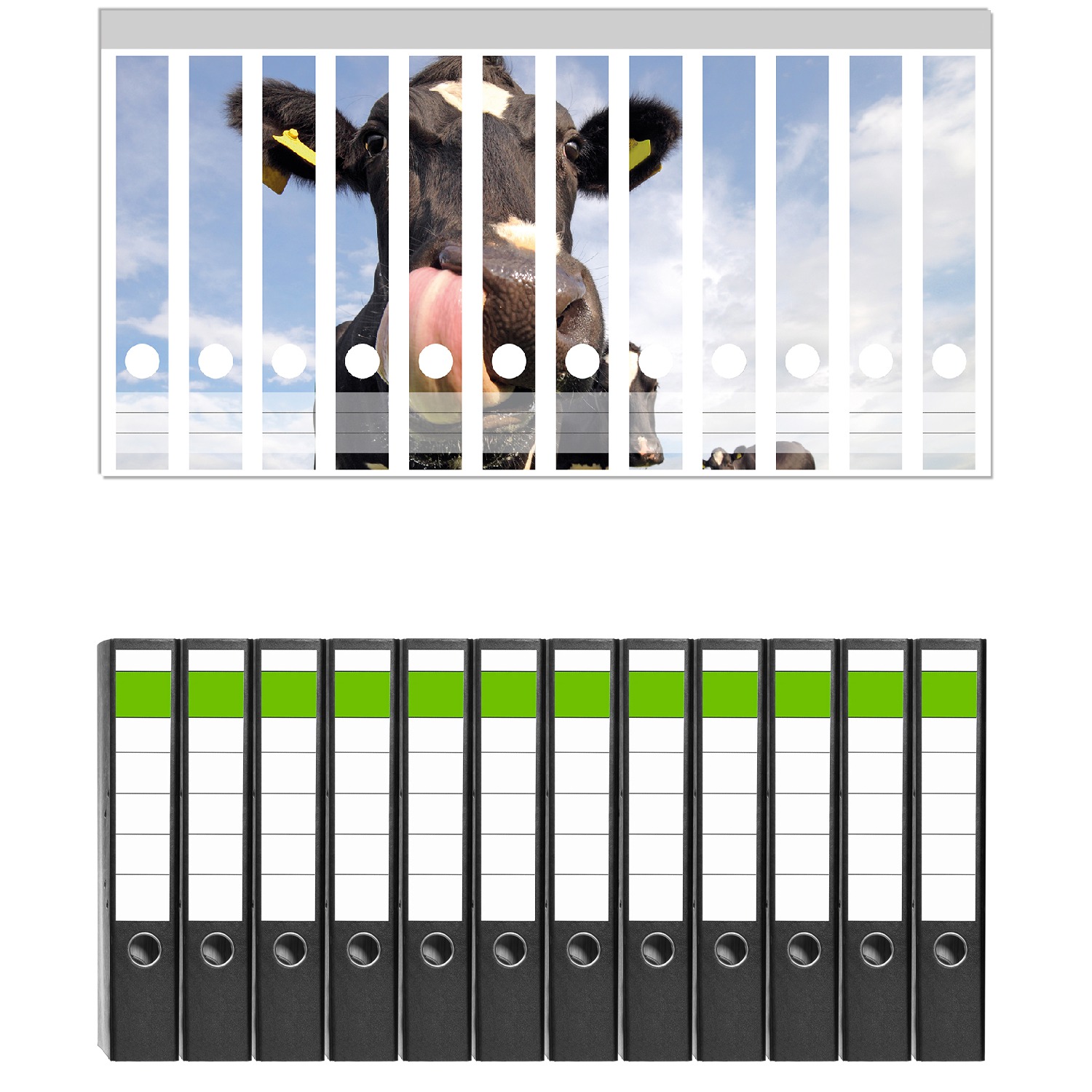 Ordnerrücken Sticker Lustige Kuh auf der Weide mit herausgestreckter ...