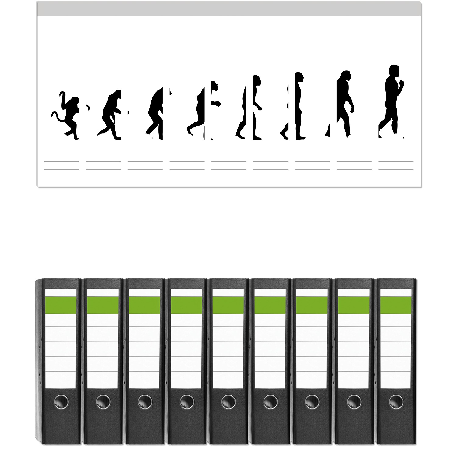 Ordnerrücken Sticker Evolution - Die Entwicklung des Menschen | Wallario.de