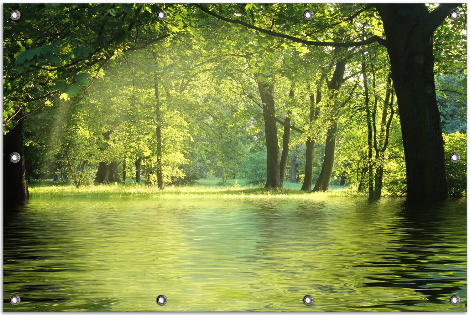 Gartenposter Idyllischer See im Wald bei Sonnenschein | Wallario.de