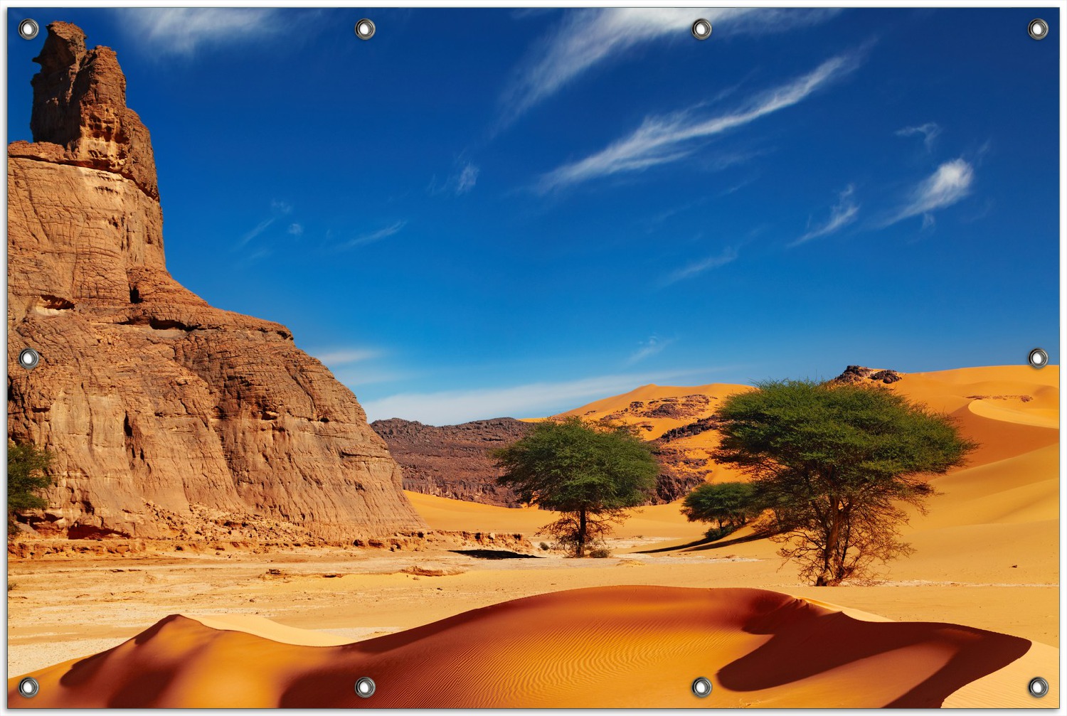 Gartenposter In der Wüste Sahara | Posterdepot. de