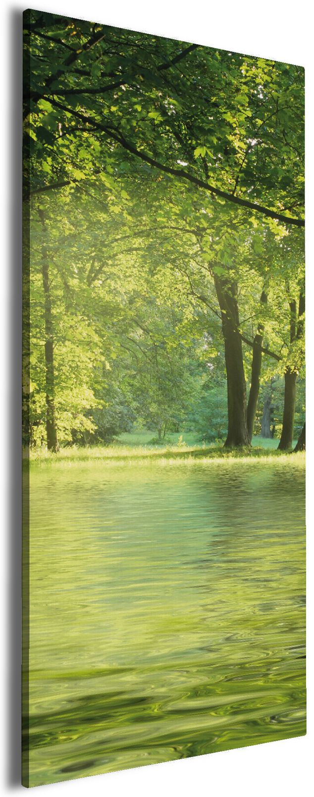 Leinwandbild Idyllischer See im Wald bei Sonnenschein | Wallario.de