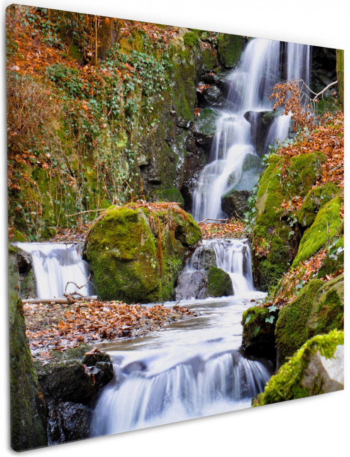Leinwandbild Bach im Wald | Wallario.de