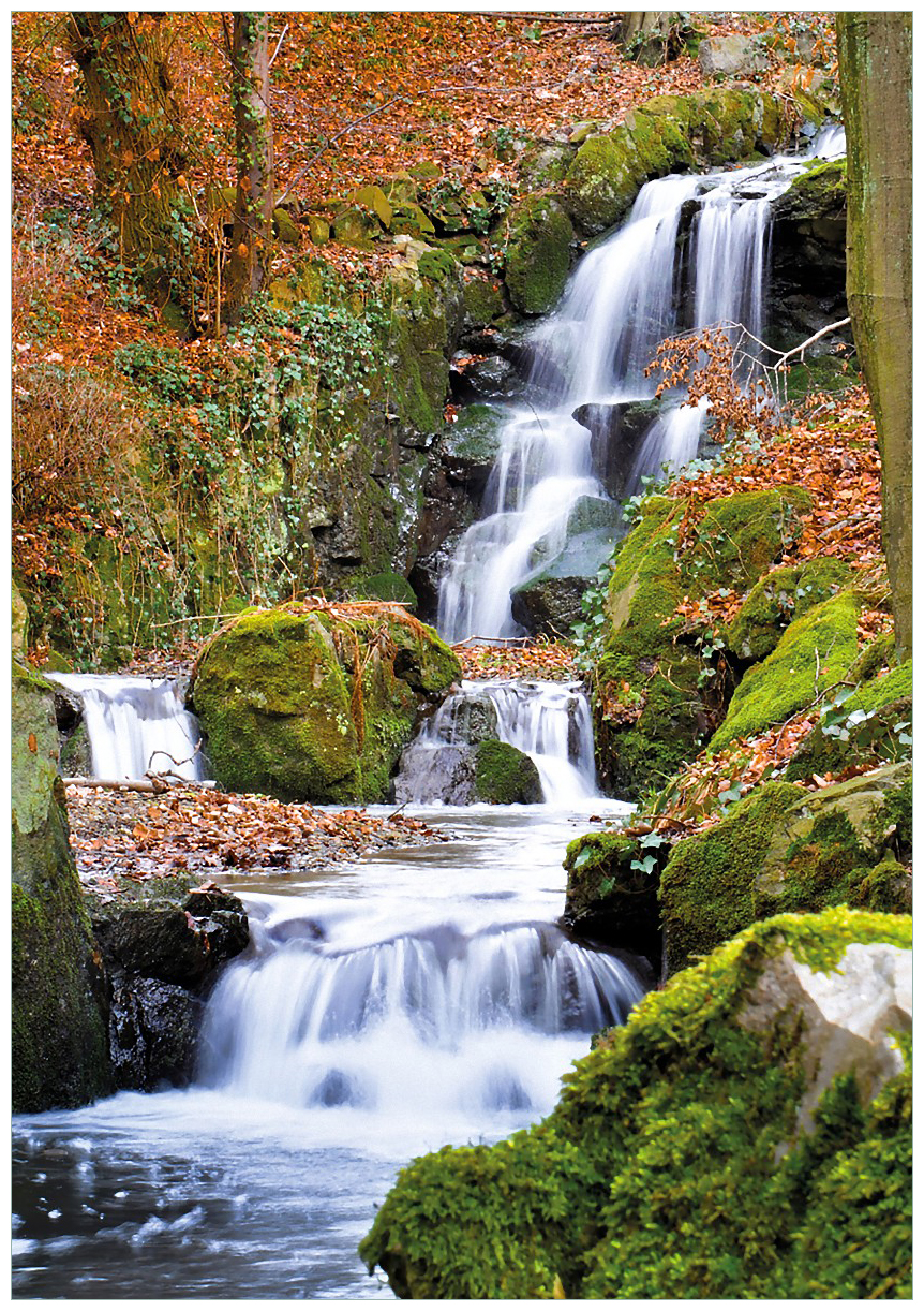 Poster Bach im Wald | Posterdepot. de