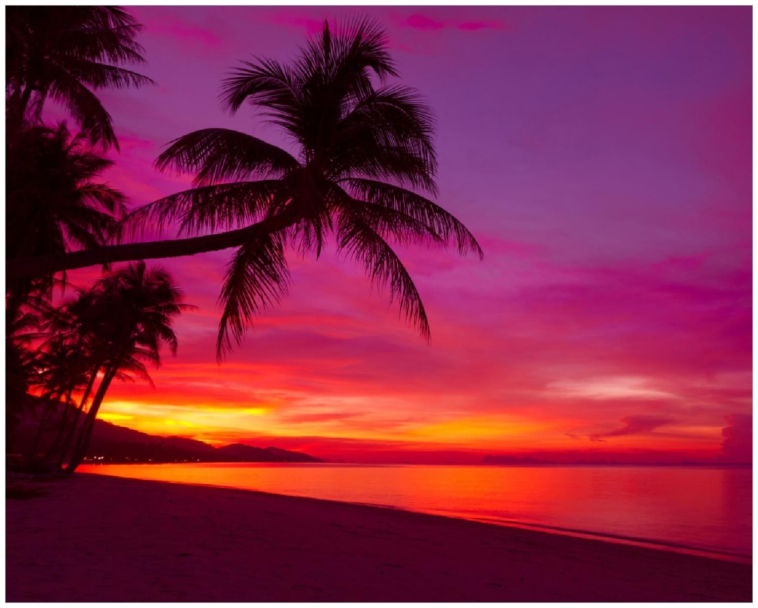 Poster Abendrot unter Palmen - pinker Himmel am Strand | Posterdepot. de