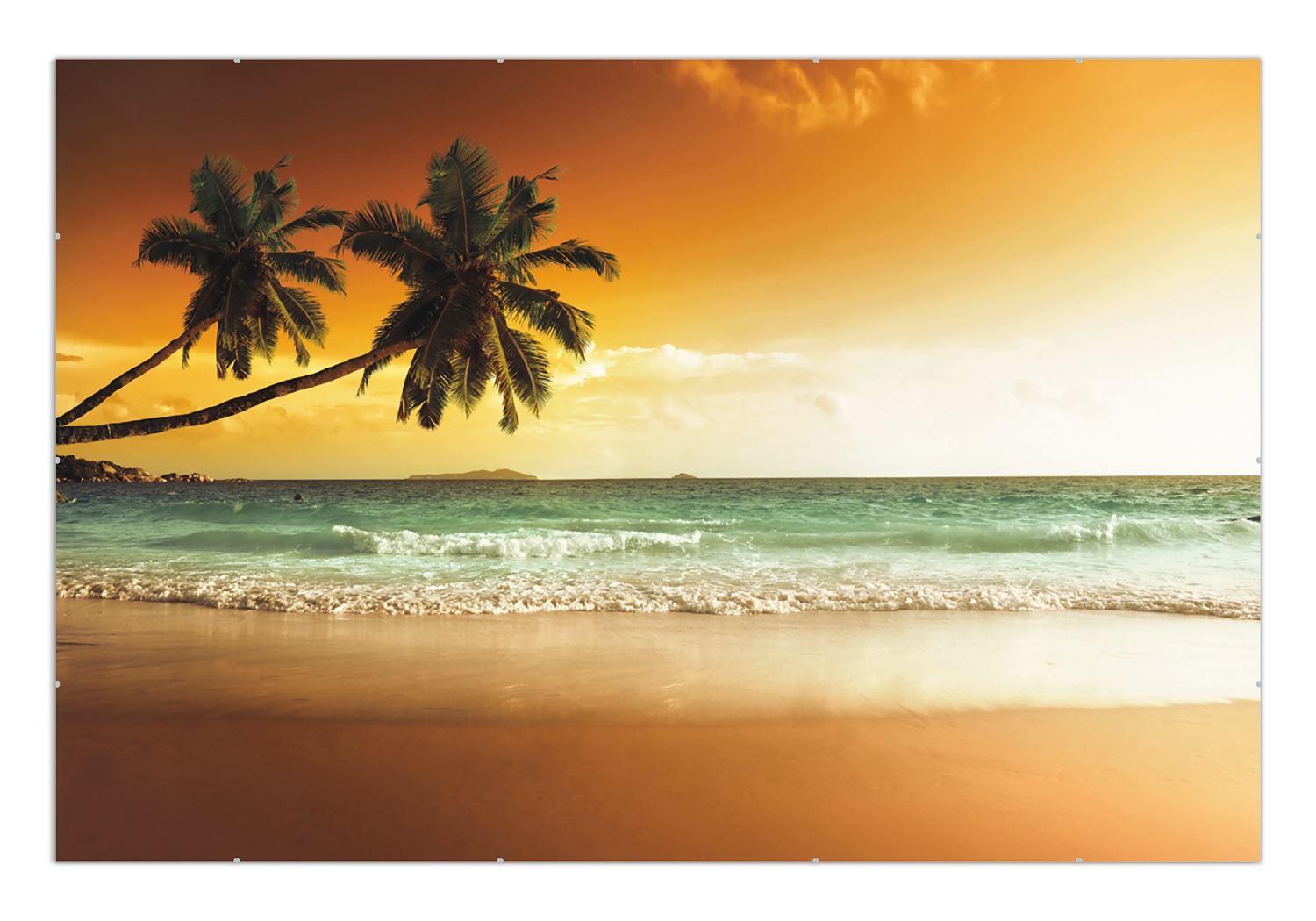 Poster Palmen am Sandstrand bei untergehender Sonne | Posterdepot. de