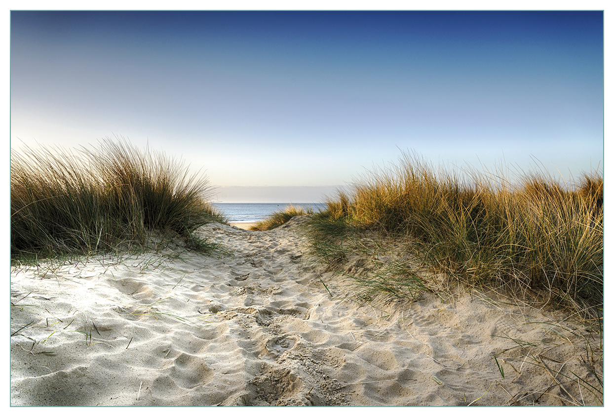 Küchenrückwand Weg durch die Dünen zum Strand am Meer | Wallario.de