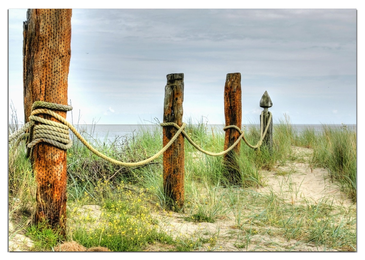 Wasserfestes Poster Düne am Strand mit Holzpfahl | Wallario.de